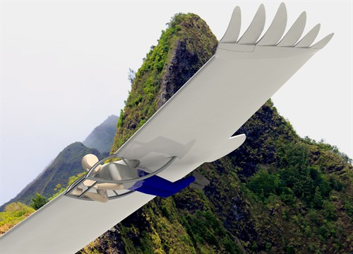 The Bird Glider - Nest of Dragons