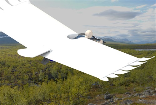 The Bird Glider - Nest of Dragons